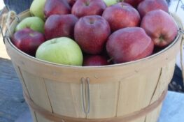 Duryea’s Montauk: Outstanding Views and Food - The Long Island Local