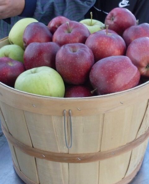 The Long Island Local - Long Island Like a Local