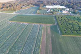 Guide To Long Island Farmers & Farms - Long Island Local