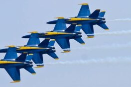 The Smith Point Light Show - The Long Island Local