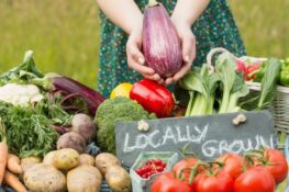 Guide To Long Island Farmers & Farms - Long Island Local