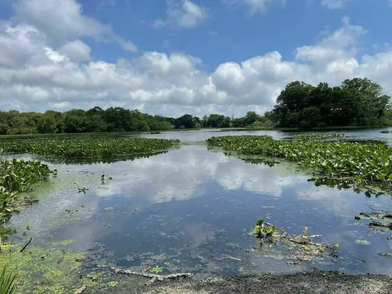 Great Long Island Hiking Spots - The Long Island Local
