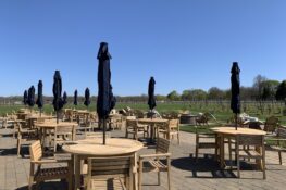 Peconic Escargot: Fresh American Snail Farm - The Long Island Local