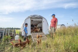 Guide To Long Island Farmers & Farms - Long Island Local
